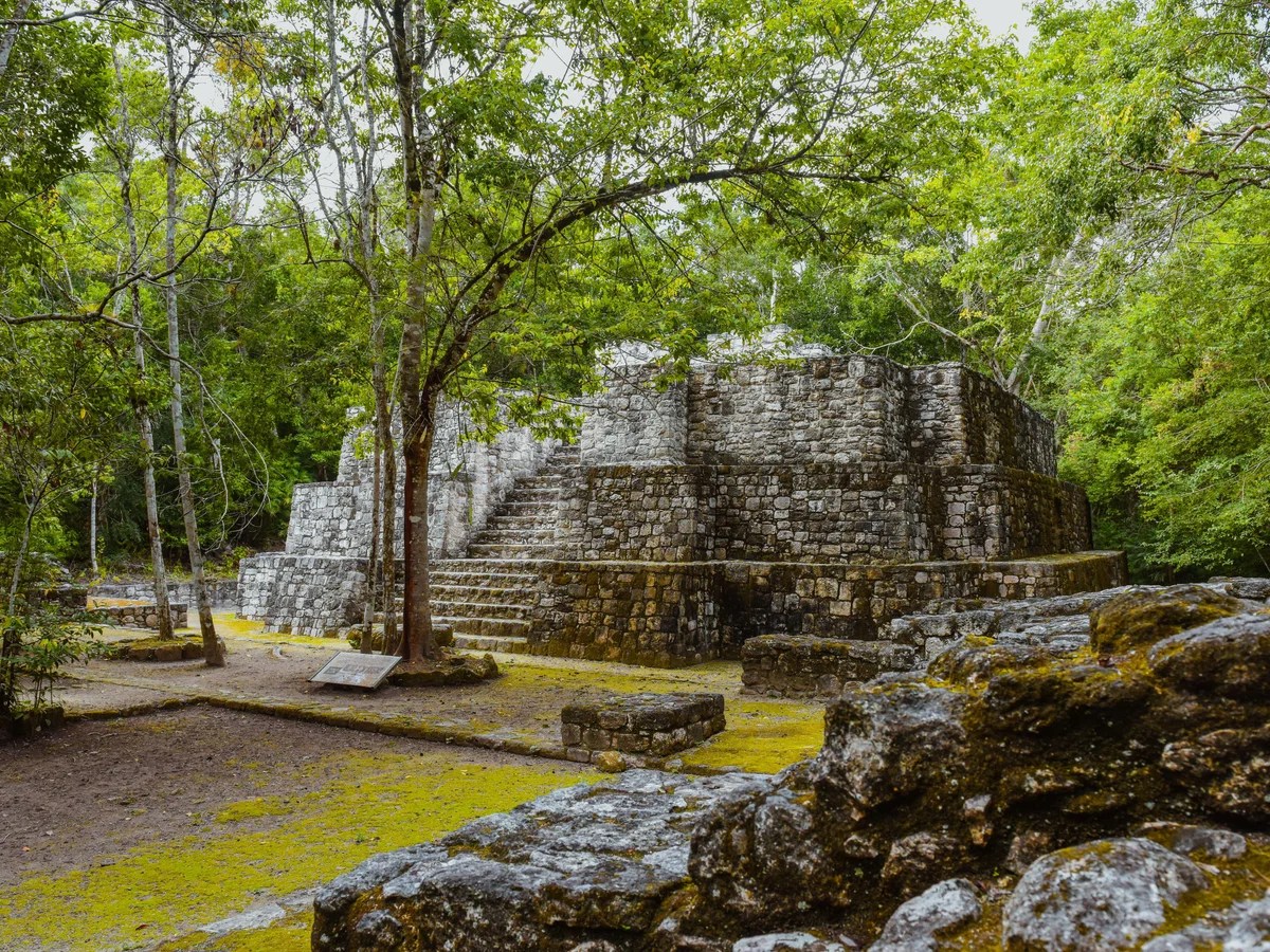 Mayan City Discovered by Accident – The 1509