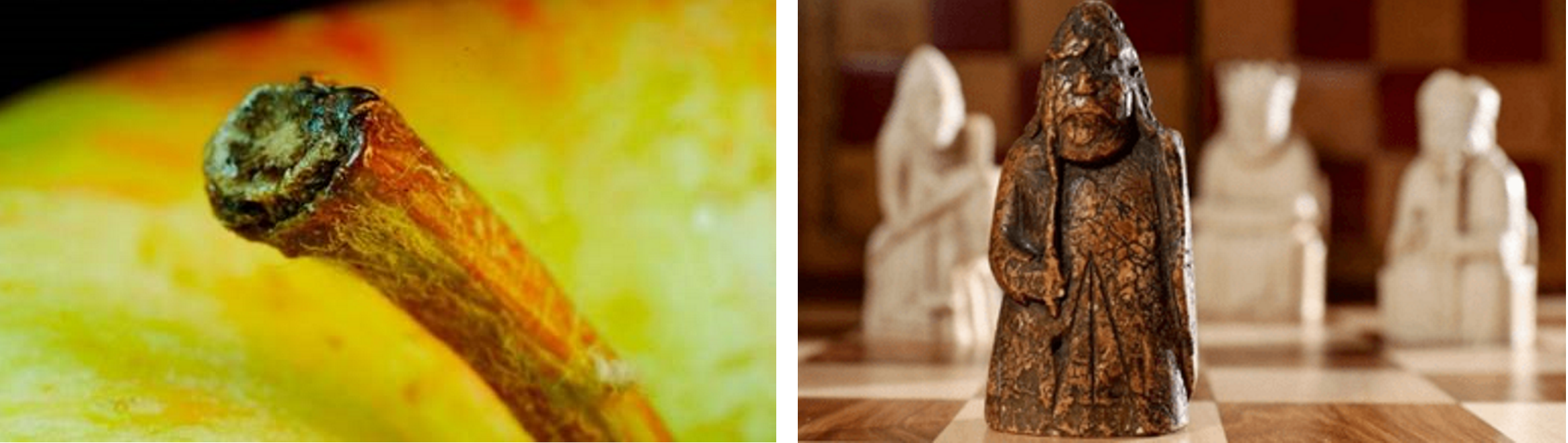 Junior (y3-6) photography – Overall Theme Puzzle – The 1509